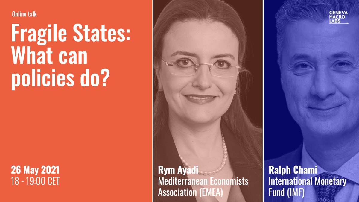 Fragile States - What can policies do? - Geneva Macro Labs